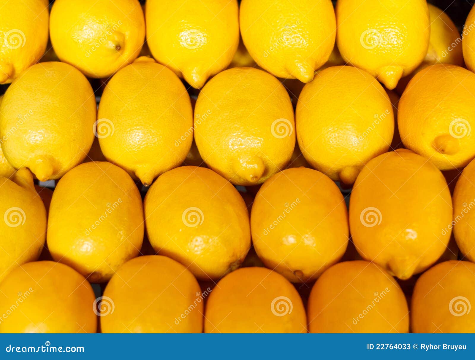 Lemons in market stock image. Image of autumn, vitamin - 22764033