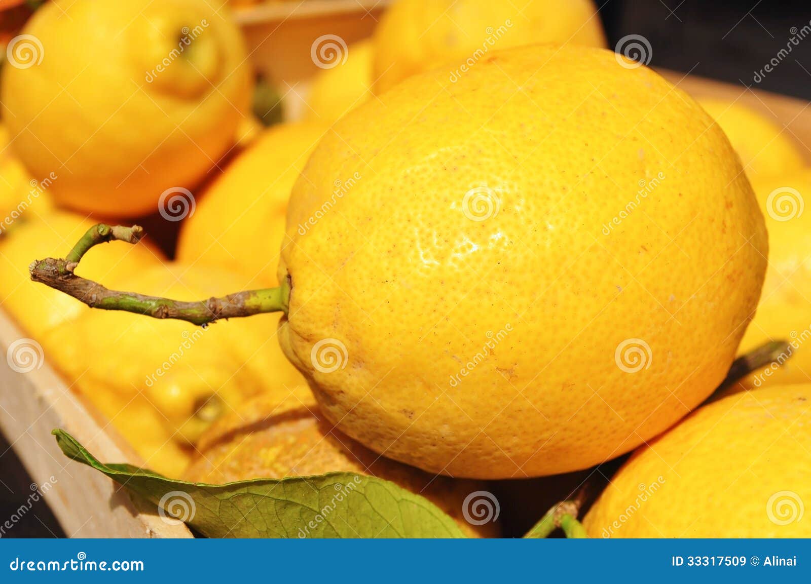 Lemons in the market stock image. Image of fresh, bright - 33317509
