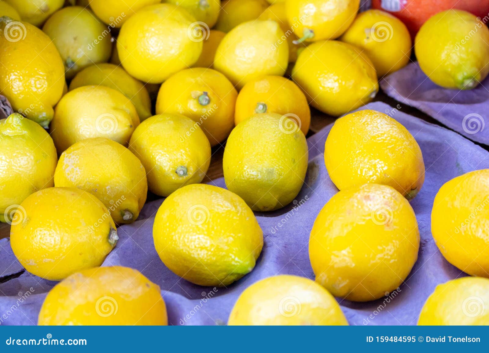 Lemons at the market stock image. Image of market, ingredient - 159484595