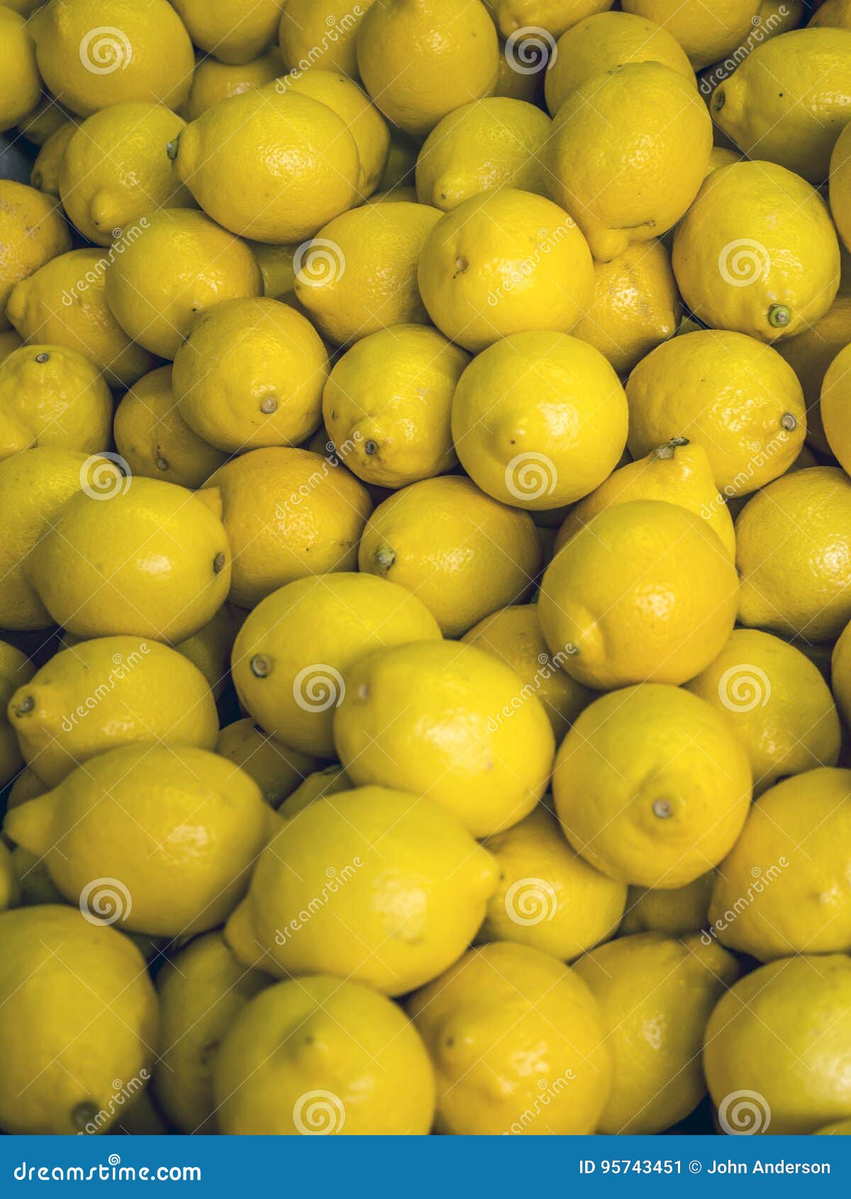Lemons for sale stock image. Image of ingredients, market - 95743451
