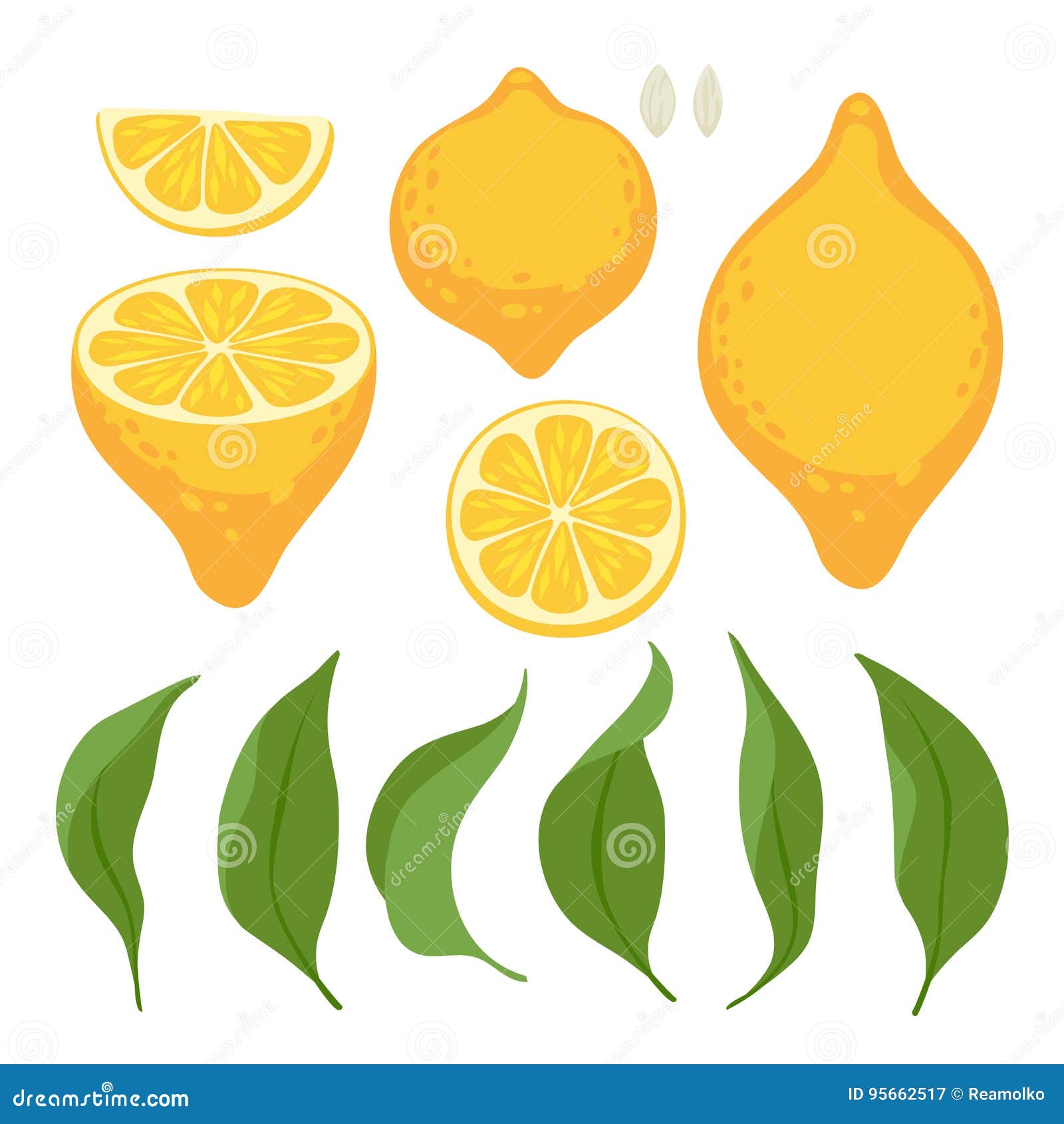 Lemons Set. Whole Fruit with Leaves, Slice and Half. Stock Vector ...