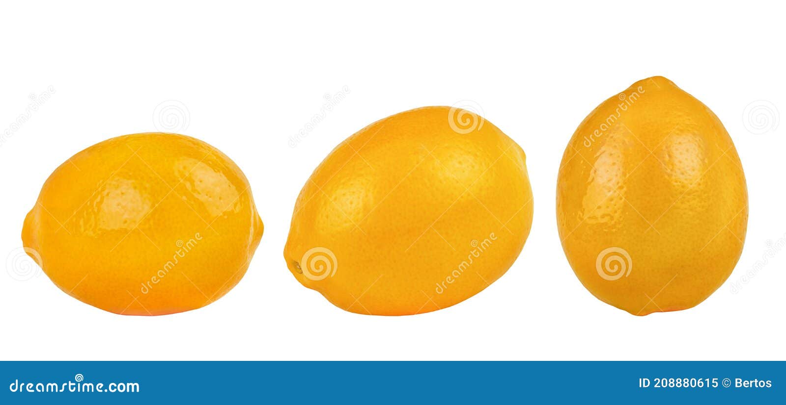 Lemons Side View on White. Set of Lemon Fruit Stock Image - Image of ...