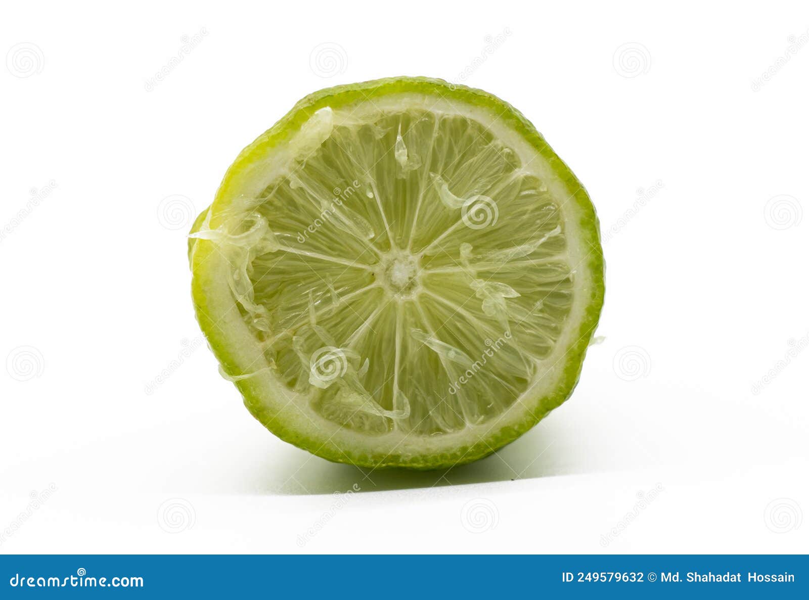 Lemons Single Slices Isolated on White Background. Front View Stock ...