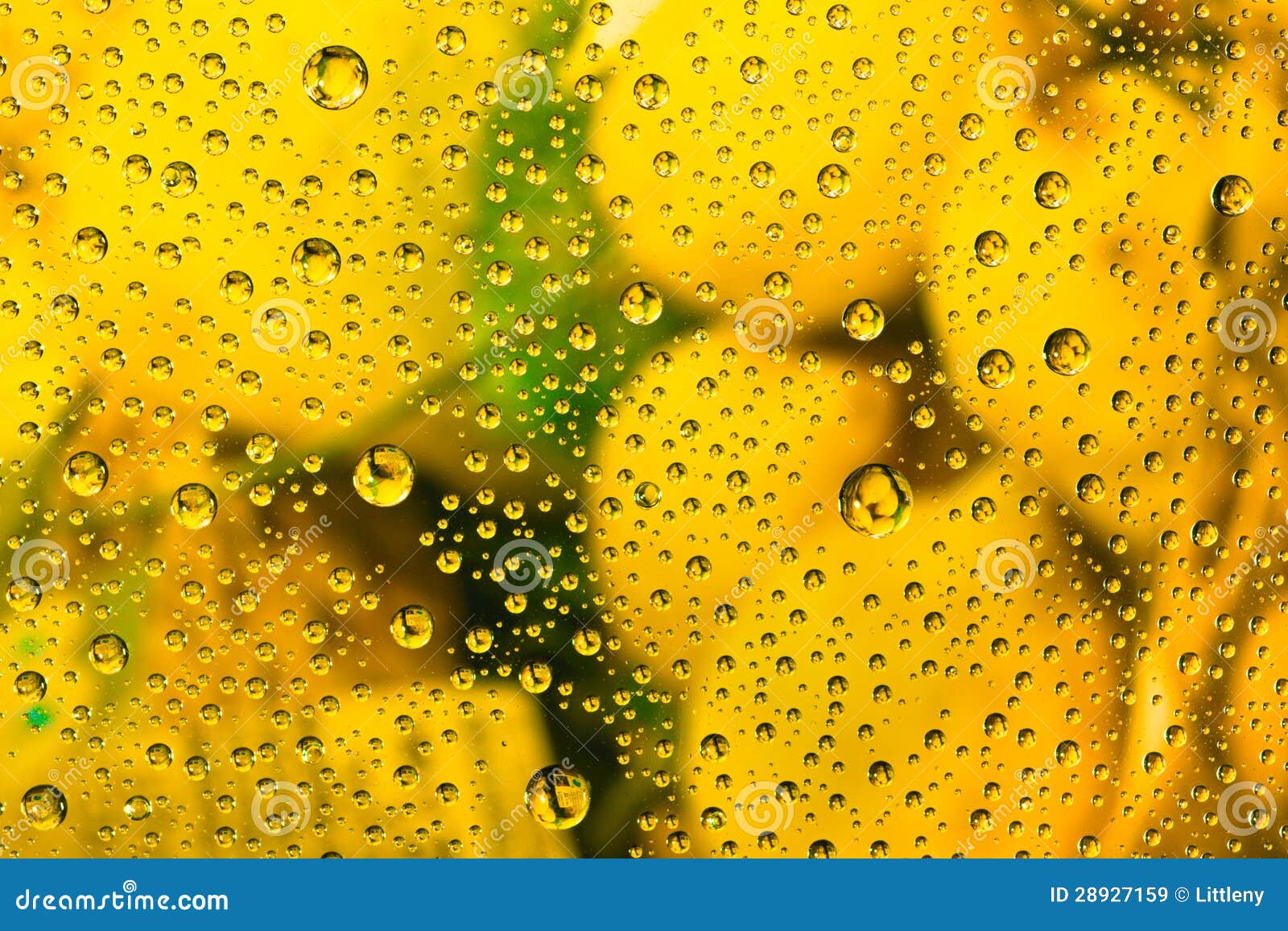 Lemons and Water Drops stock image. Image of quench, droplets - 28927159