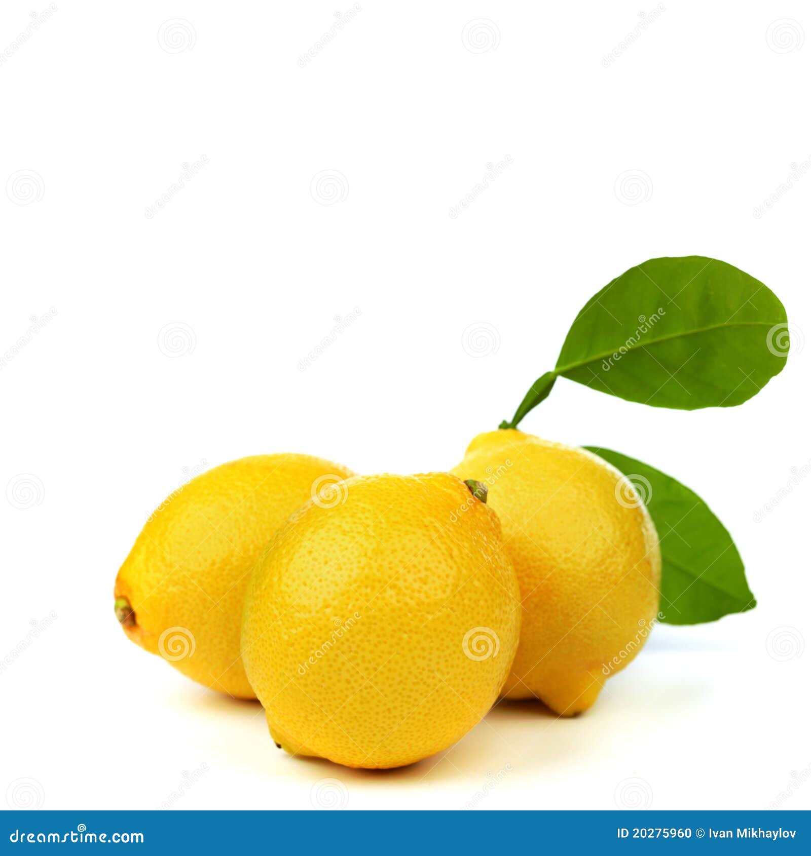 Lemons on white stock photo. Image of healthy, fruit - 20275960