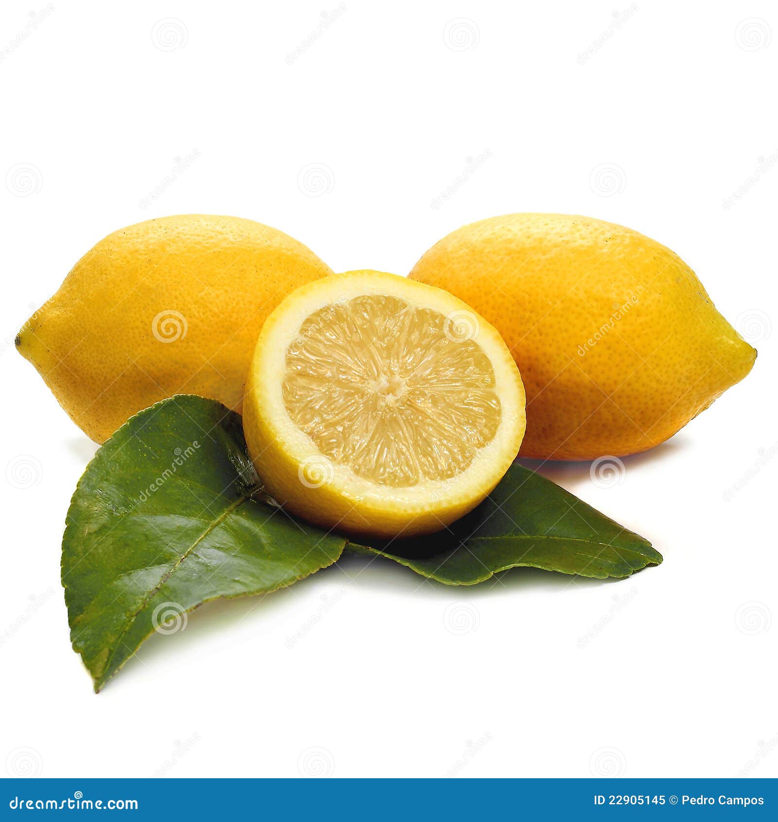 Lemons and white stock image. Image of three, collection - 22905145
