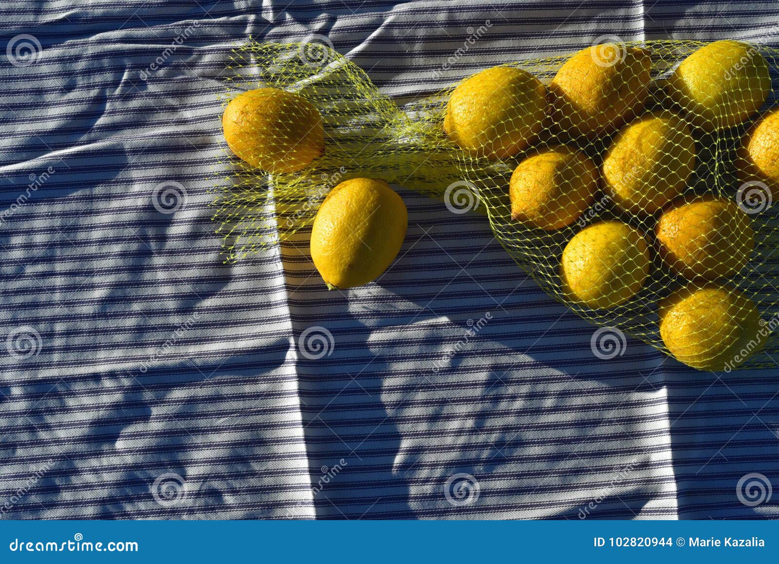 Lemons in yellow net bag stock photo. Image of background - 102820944