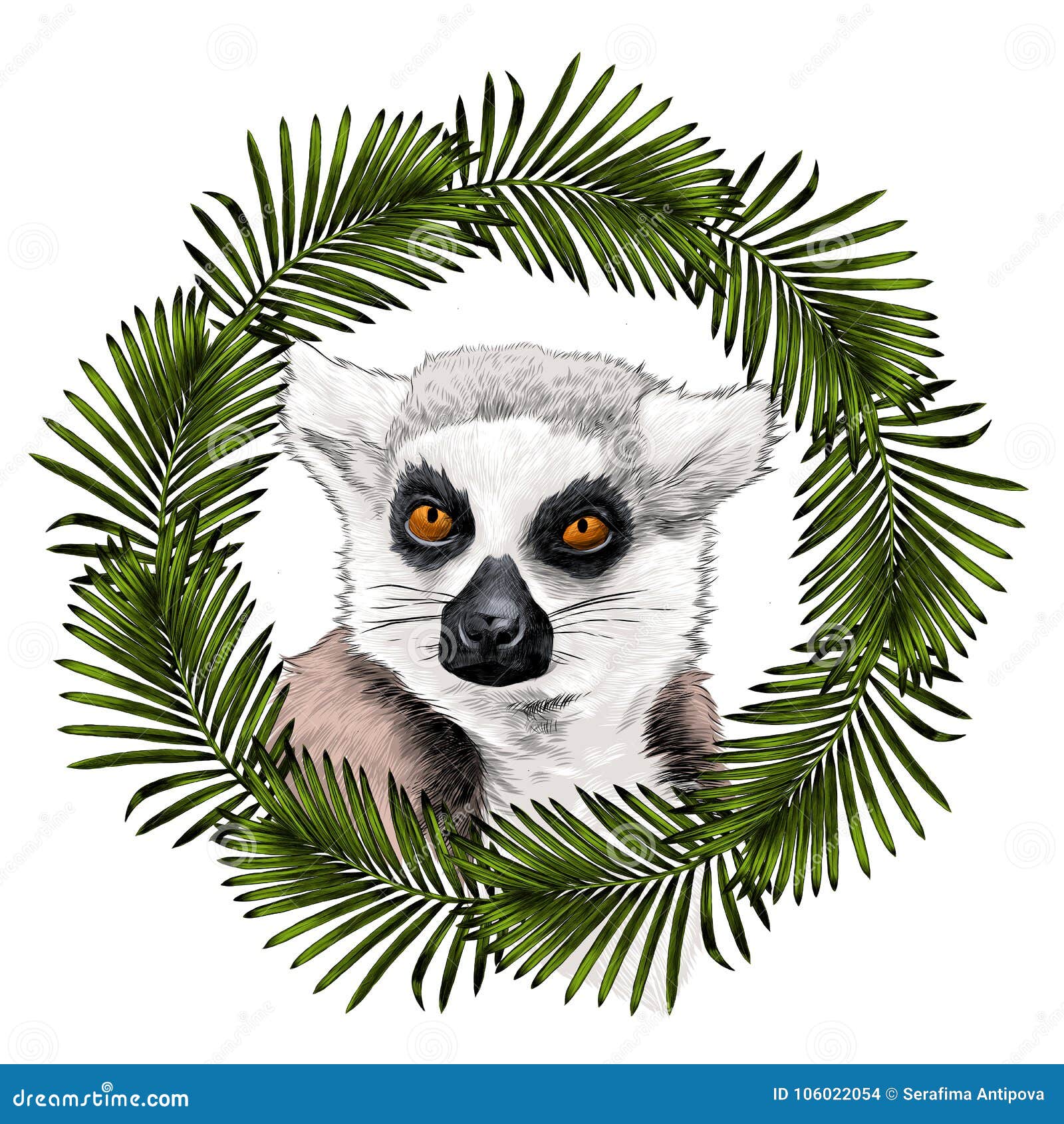 Lemur Head in the Frame Sketch Vector Stock Vector - Illustration of ...