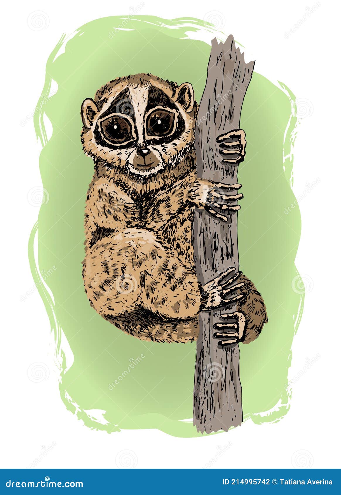 Lemur Loris On A Tree. Vector Illustration, Isolated. Hand Drawn Sketch ...