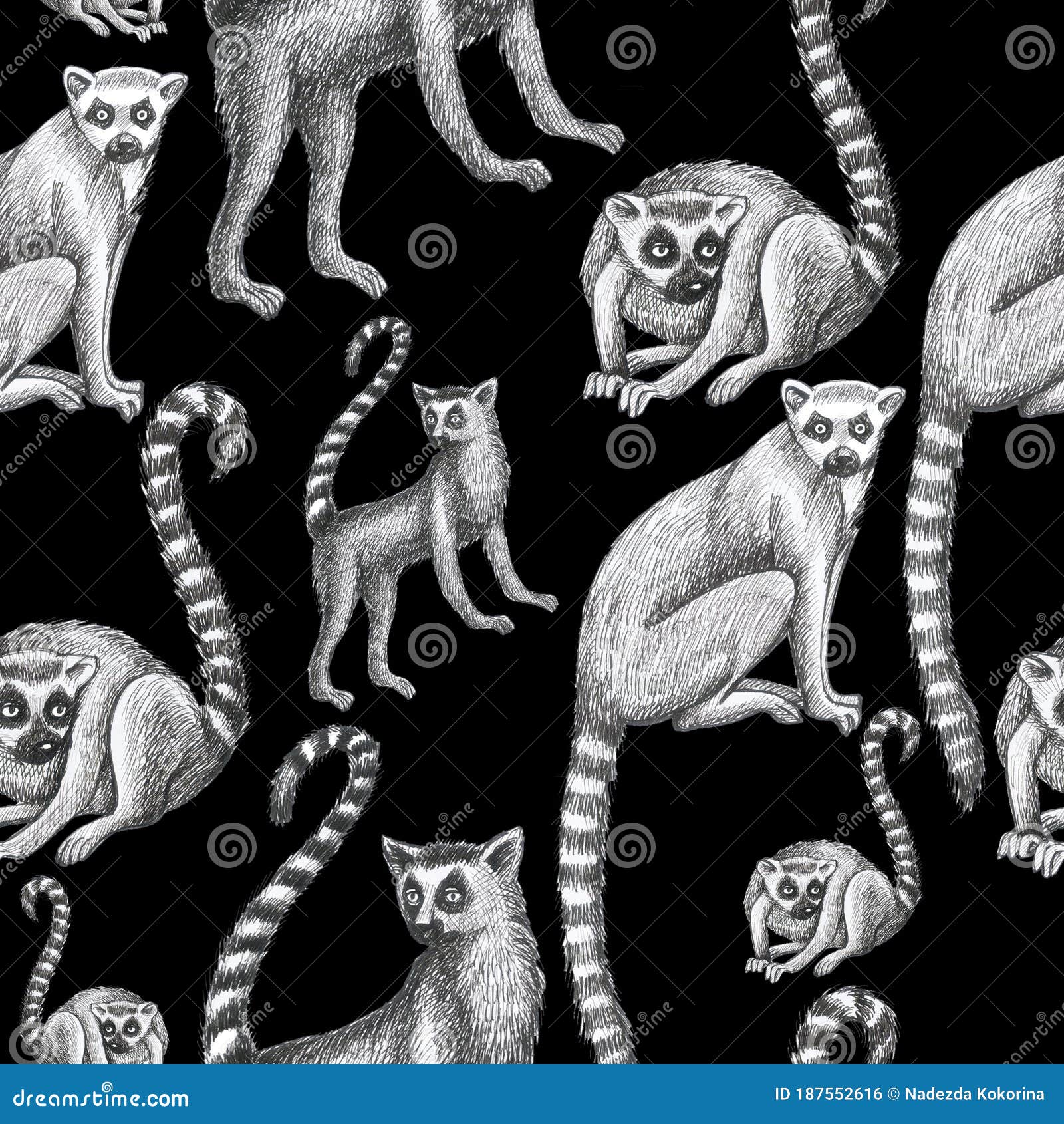 Lemurs Pattern Drawing Silhouette Tropical Animals Isolate Object ...
