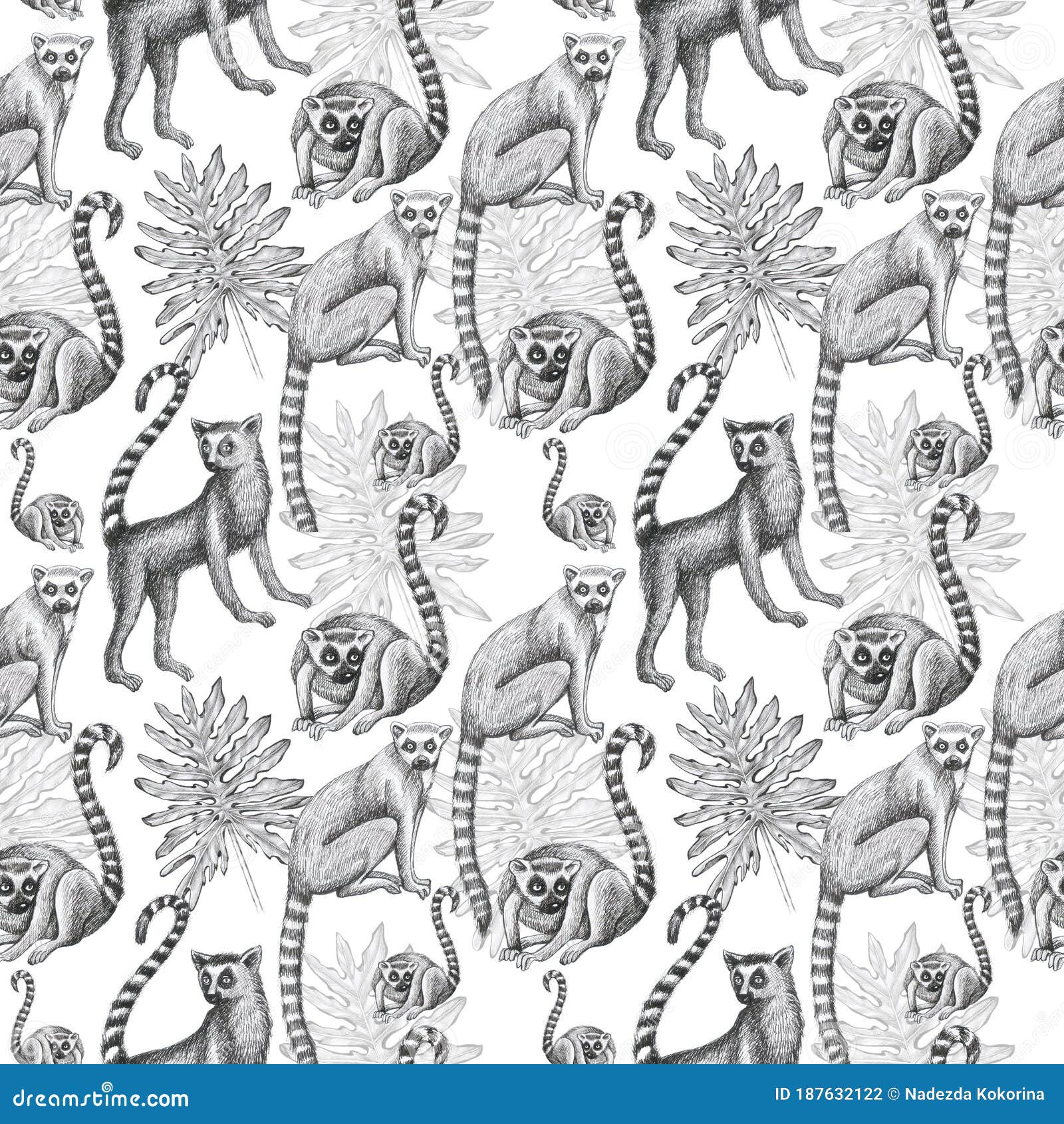 Lemurs Pattern Drawing Silhouette Tropical Animals Isolate Object White ...