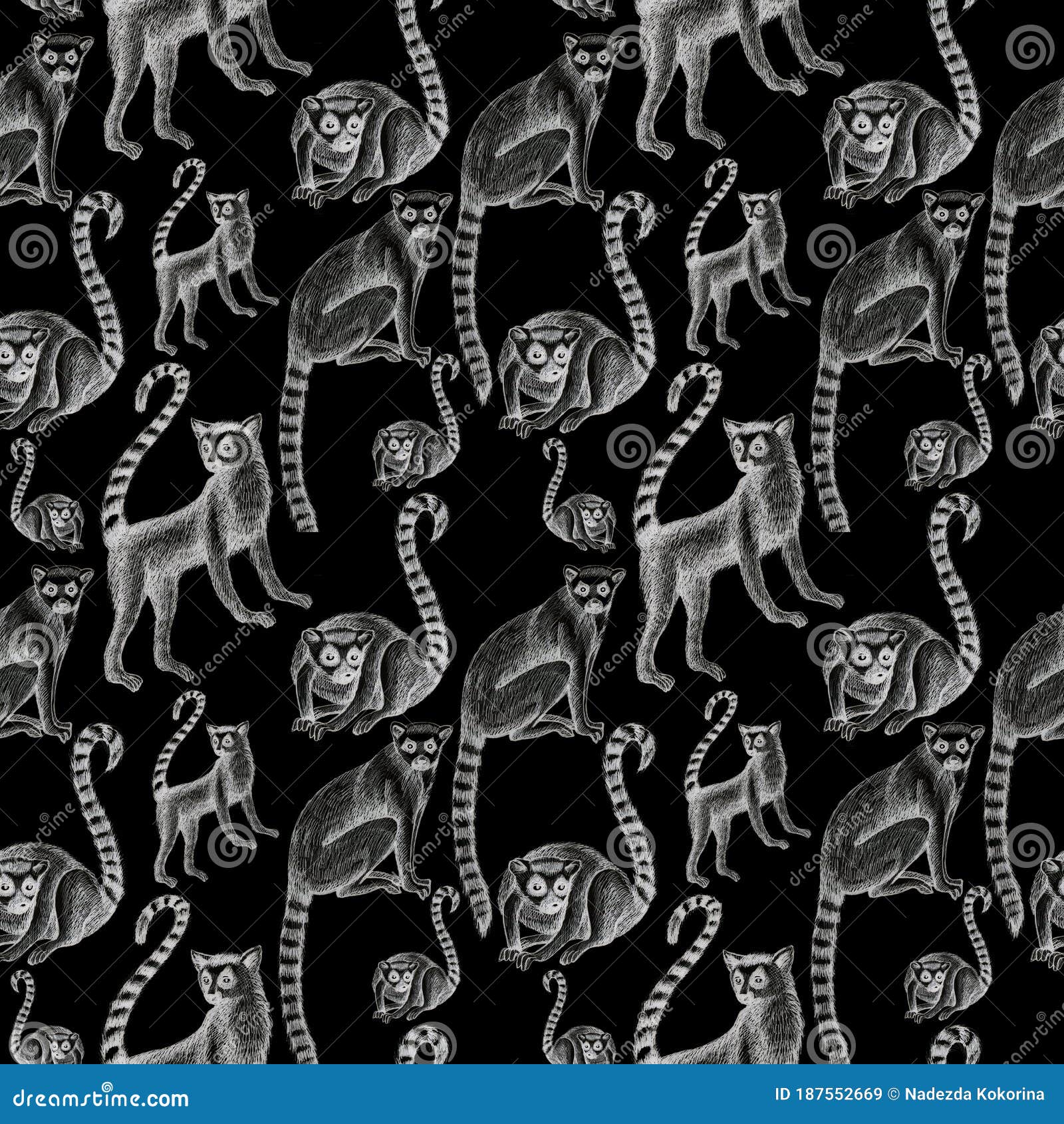 Lemurs Pattern Drawing Silhouette Tropical Animals Isolate Object White ...