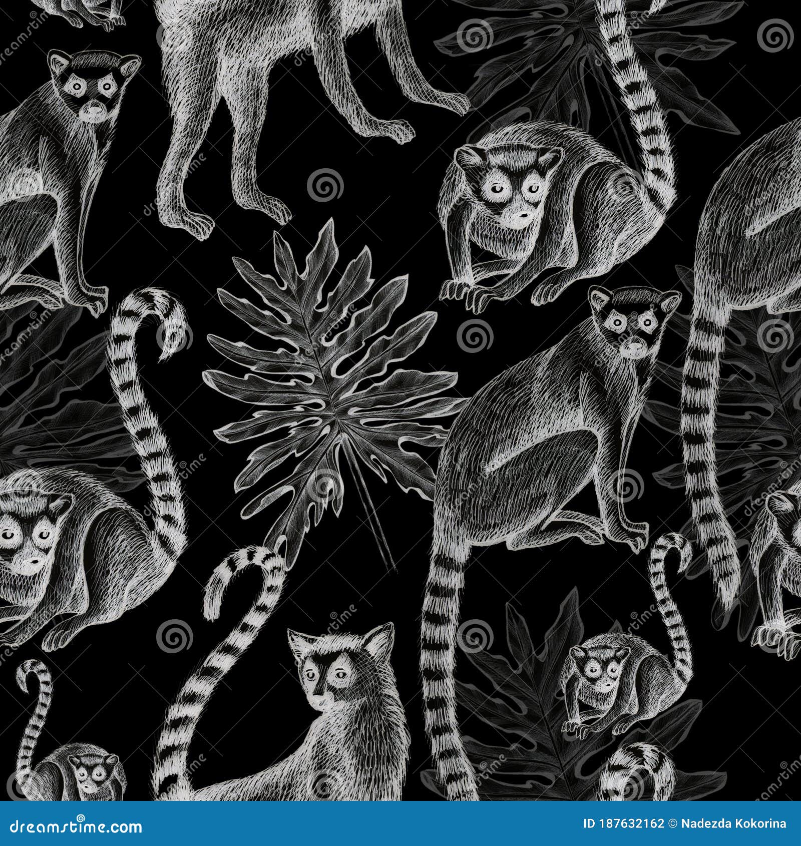 Lemurs Pattern Drawing Silhouette Tropical Animals Isolate Object White ...