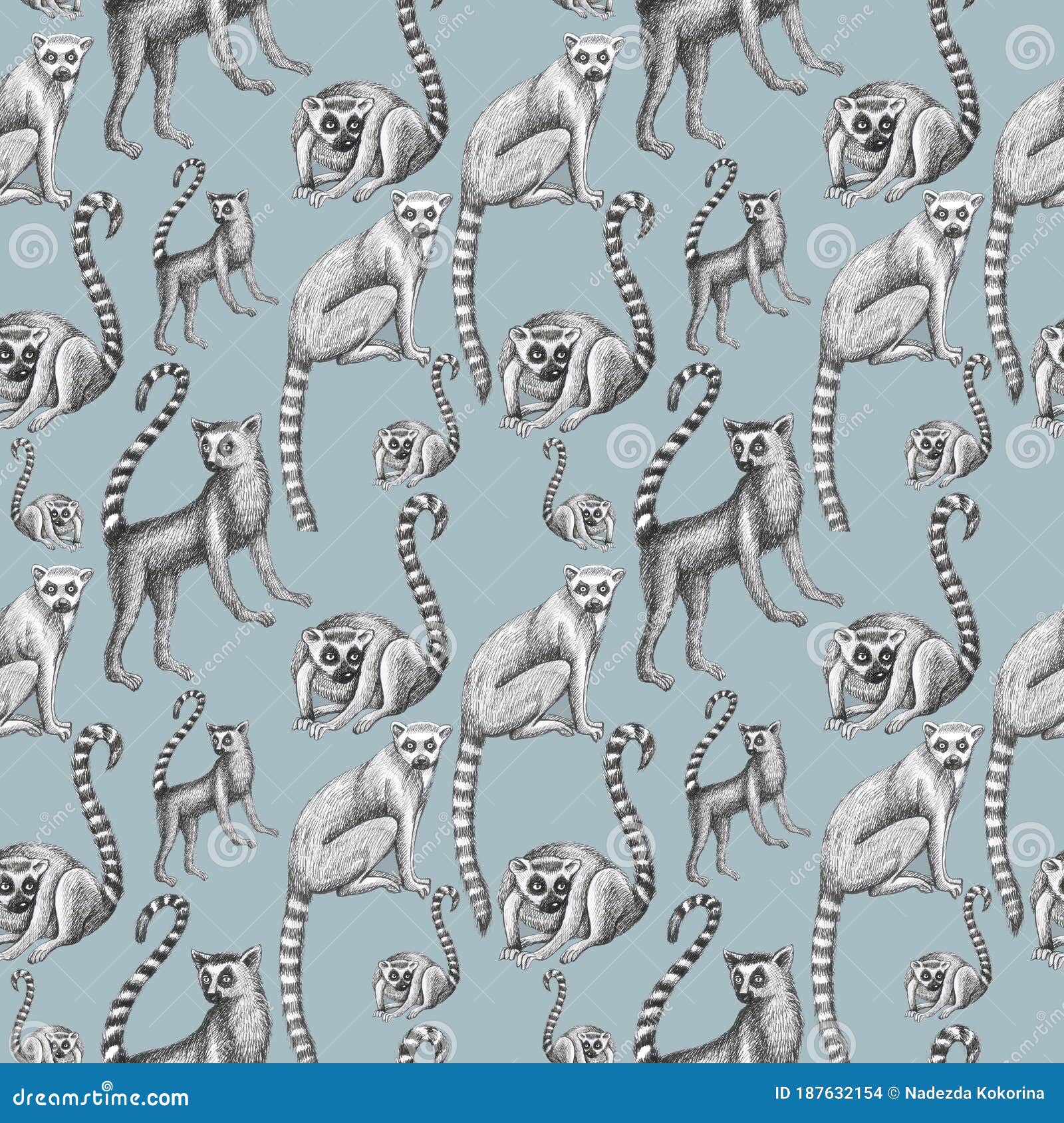 Lemurs Pattern Drawing Silhouette Tropical Animals Isolate Object White ...