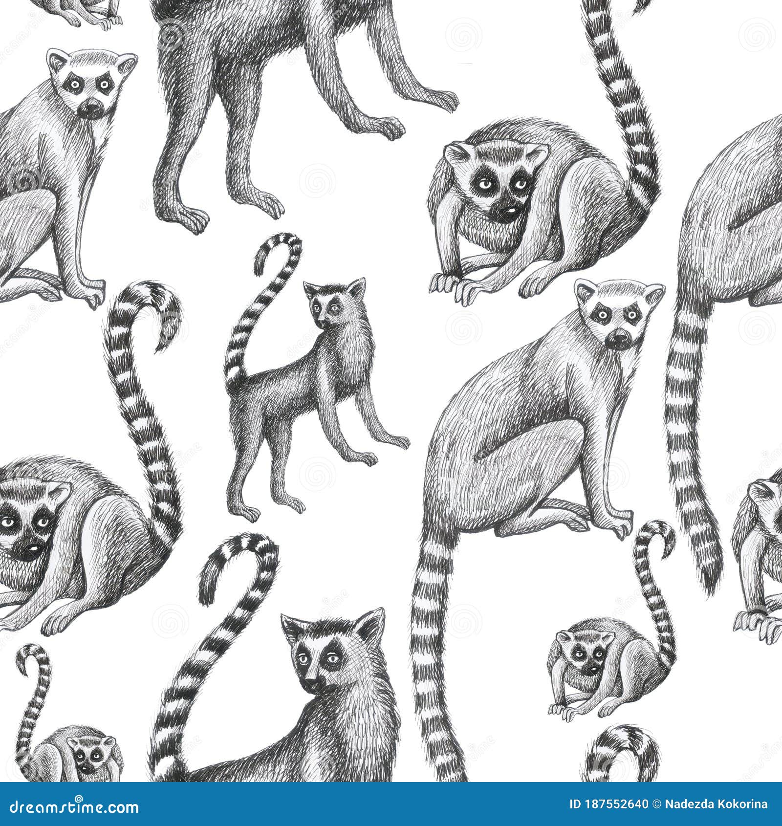 Lemurs Pattern Drawing Silhouette Tropical Animals Isolate Object Black ...