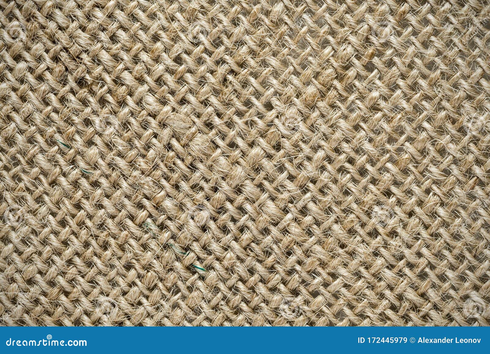 Len stock image. Image of design, graphic, natural, antique - 172445979