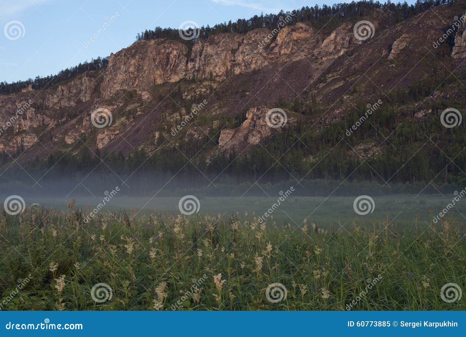 Lena River stock afbeelding. Image of siberië, zomer - 60773885