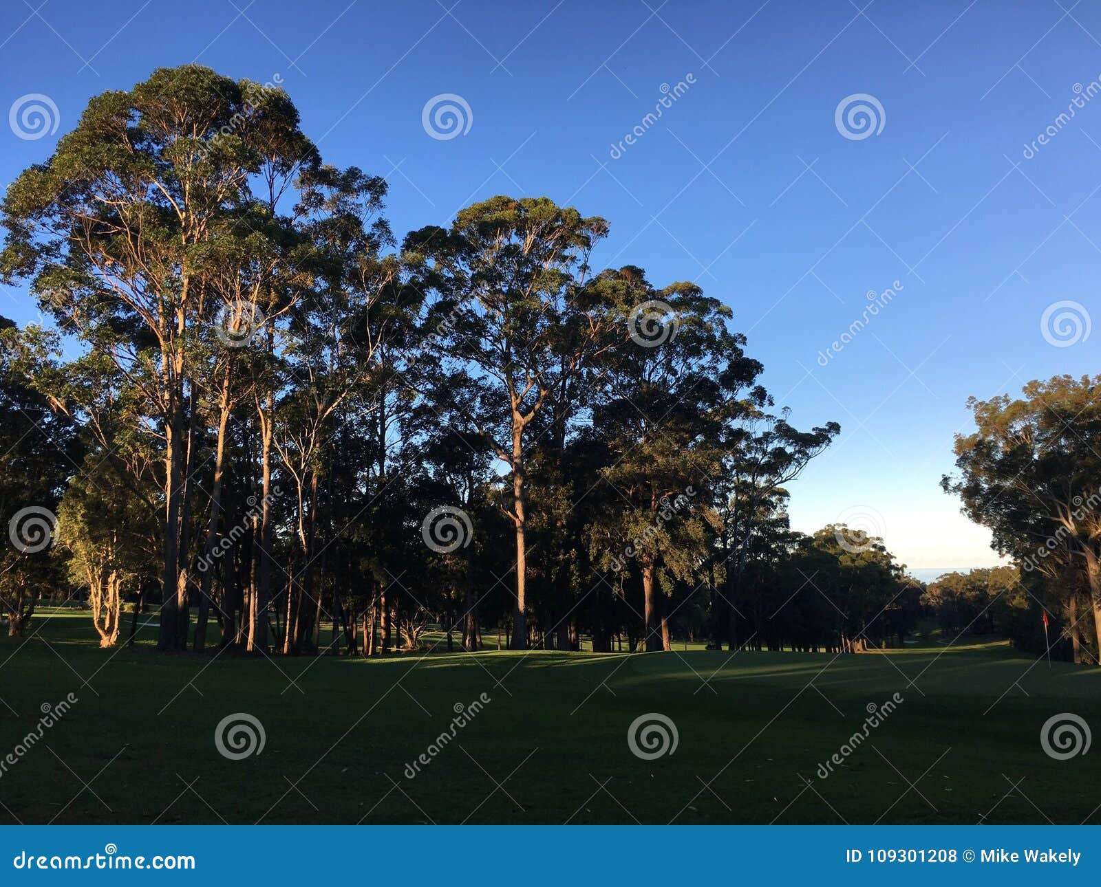 Lengthening Shadows on Golf Course Stock Photo - Image of lengthening ...