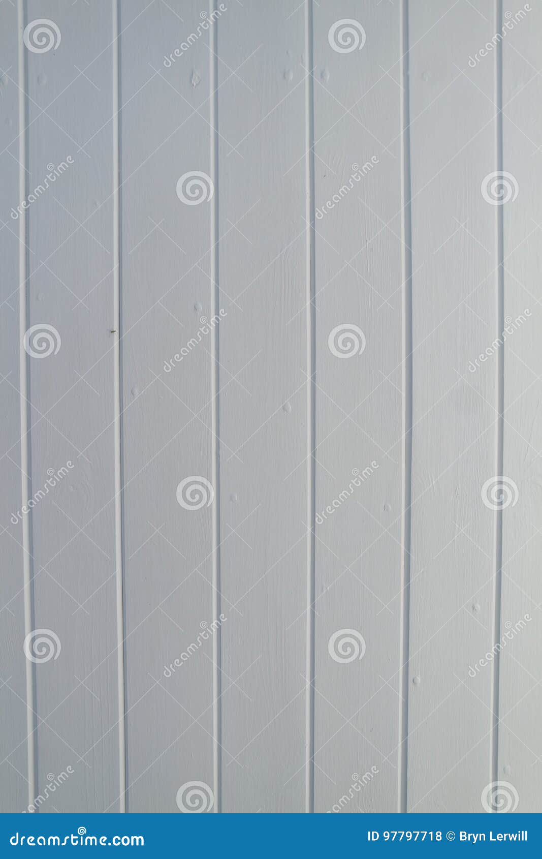 Lengua Lisa Blanca Y El Panel De Madera Del Surco Foto de archivo ...