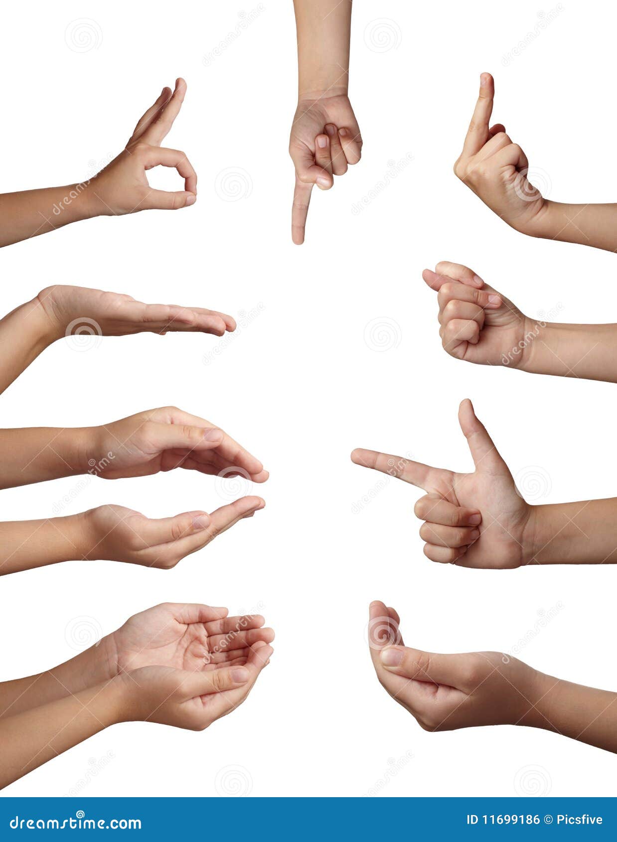 Lenguaje Corporal Del Gesto De Mano Foto de archivo - Imagen de apuntar ...