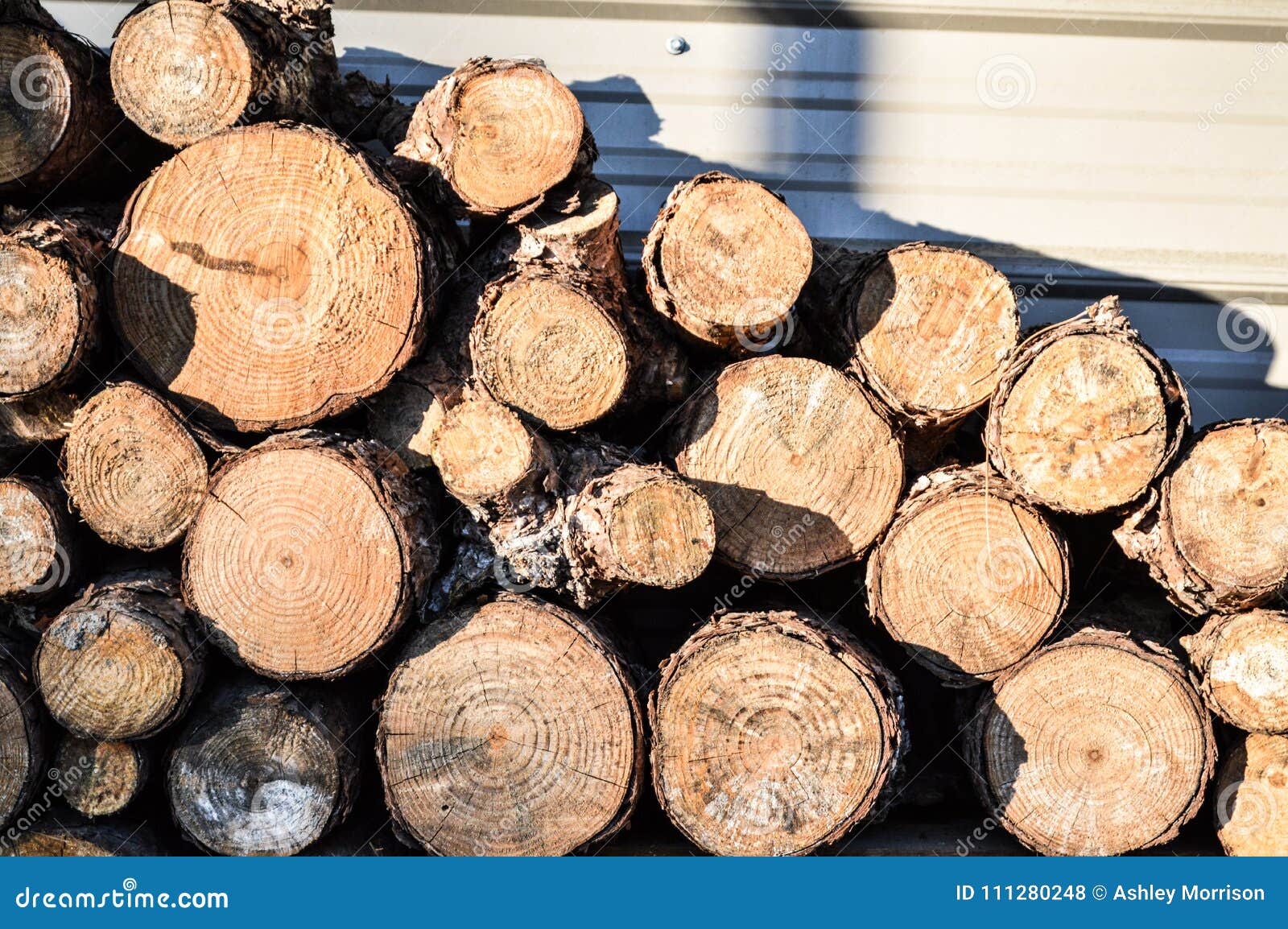 Lenha Empilhada-acima Em Uma Maneira Derramando Foto de Stock - Imagem ...