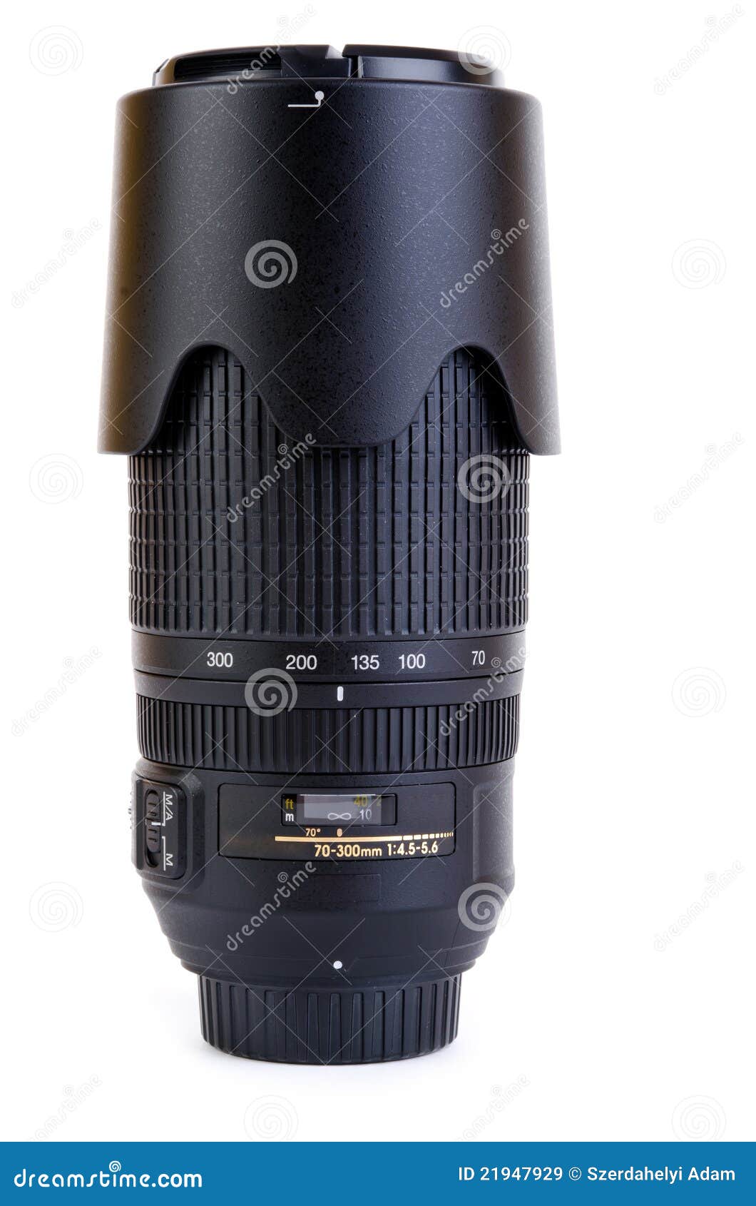 Lens stock image. Image of black, angle, lens, fish, isolated - 21947929