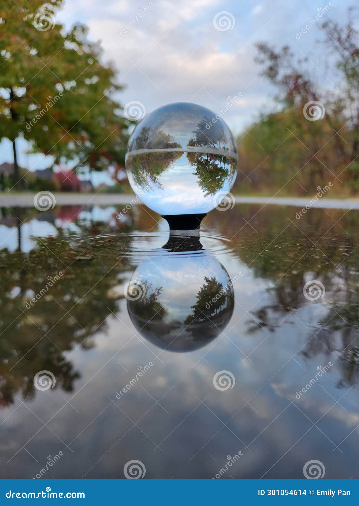 Lens Ball and Fall Rain Puddle Stock Photo - Image of autumn, green ...