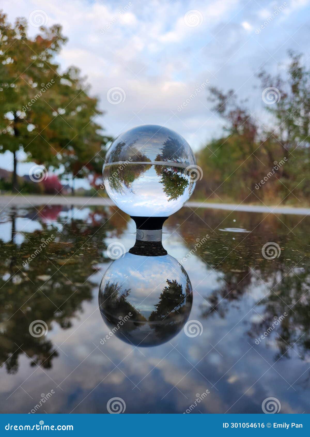 Lens Ball and Fall Rain Puddle Stock Photo - Image of nature, winter ...