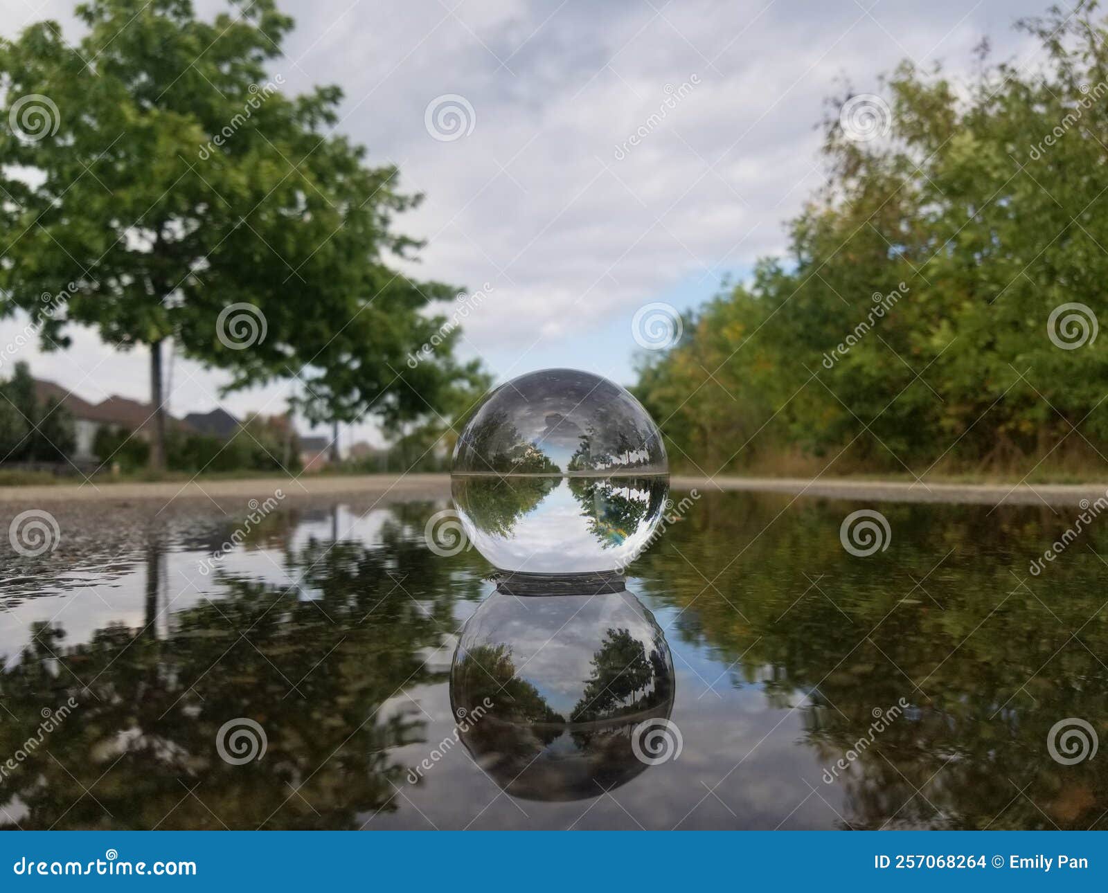 Lens Ball and Water stock photo. Image of water, garden - 257068264