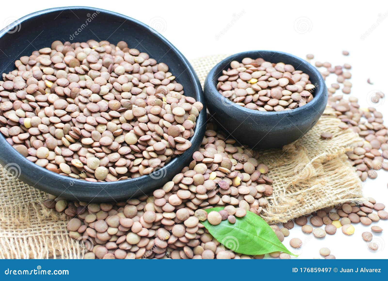 Lens Culinaris Raw Lentils Displayed in Different Containers - Lentils ...
