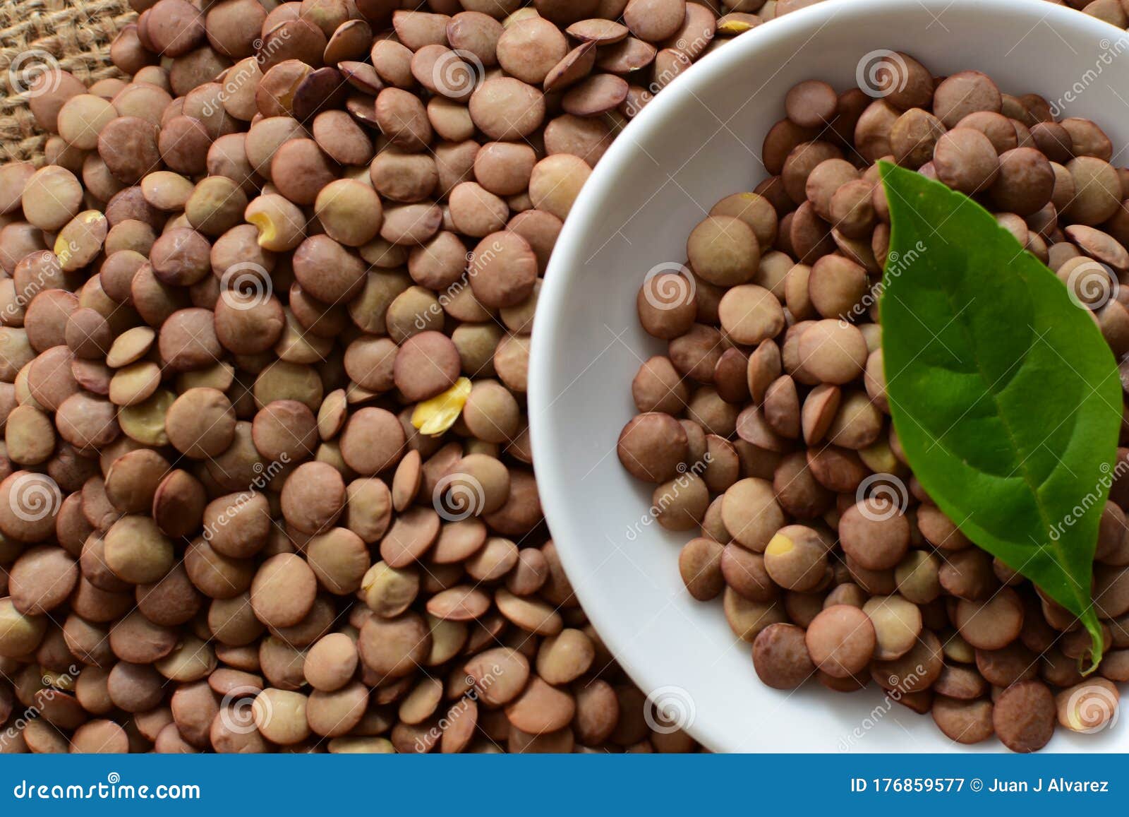 Lens Culinaris Raw Lentils Displayed in Different Containers - Lentils ...