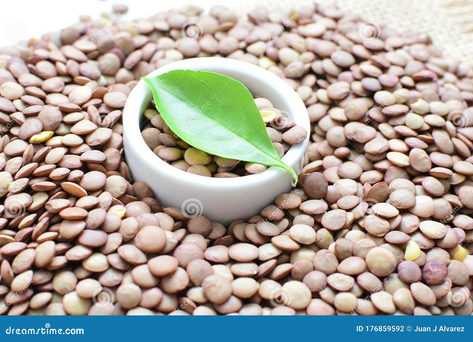 Lens Culinaris Raw Lentils Displayed in Different Containers - Lentils ...