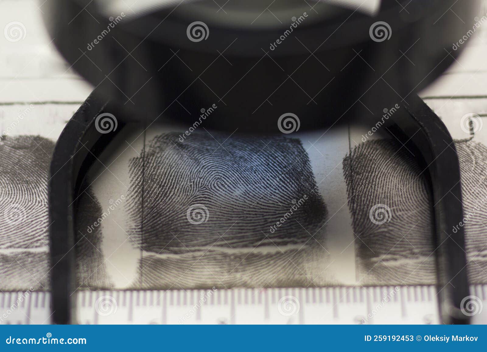 The Forensic Ruler Rests On A Laboratory Checkered Background Next To ...