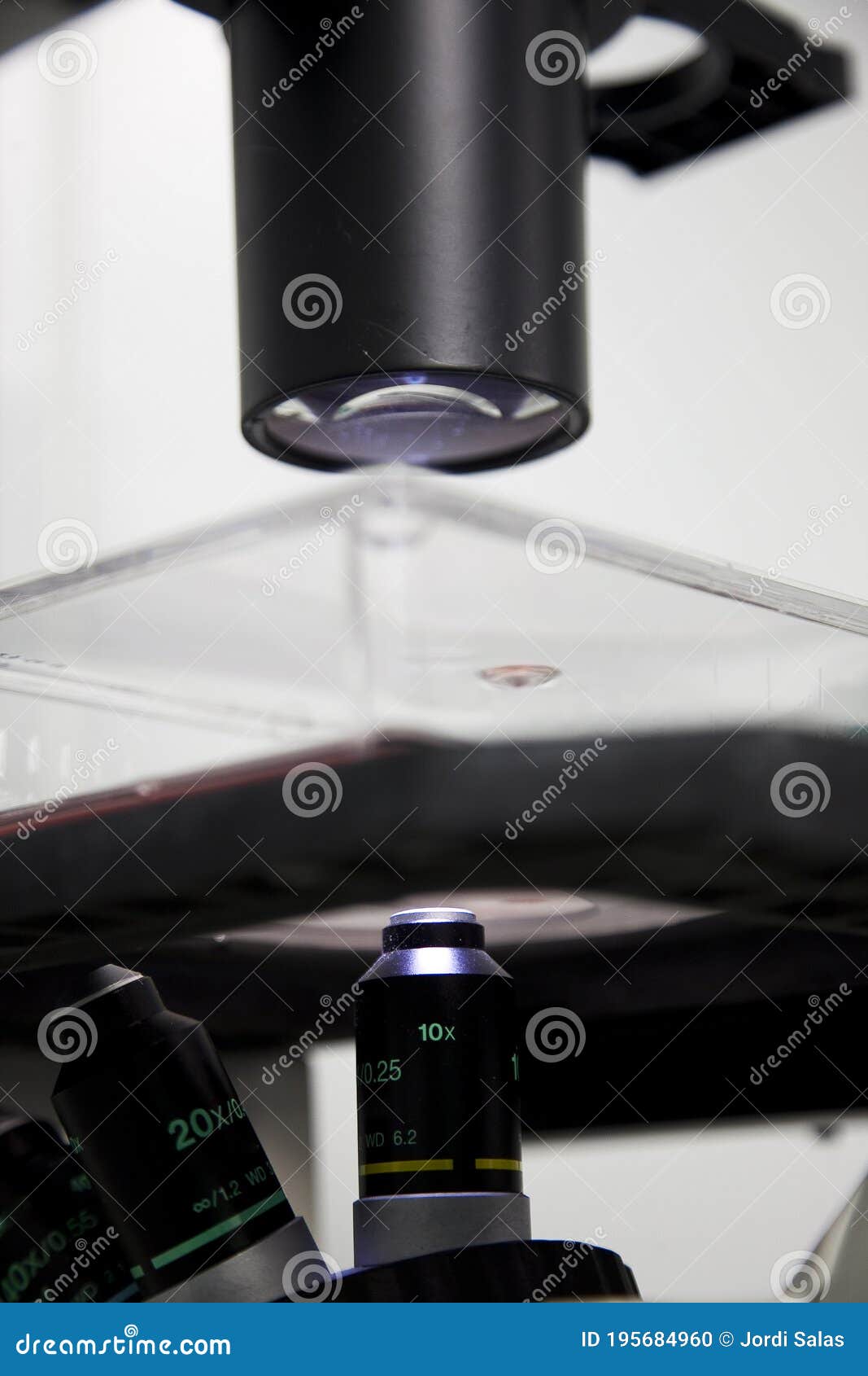Lenses Of A Microscope Stock Image | CartoonDealer.com #34633141