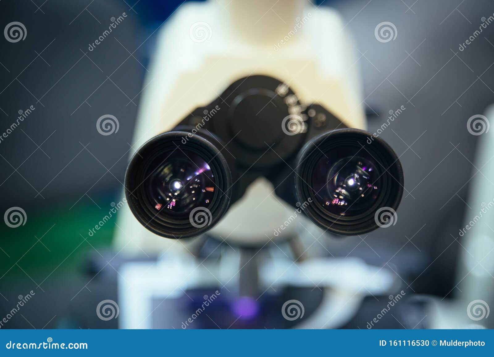 Lentes Oculares De Microscopio Binocular, Foco Selectivo Foto de ...