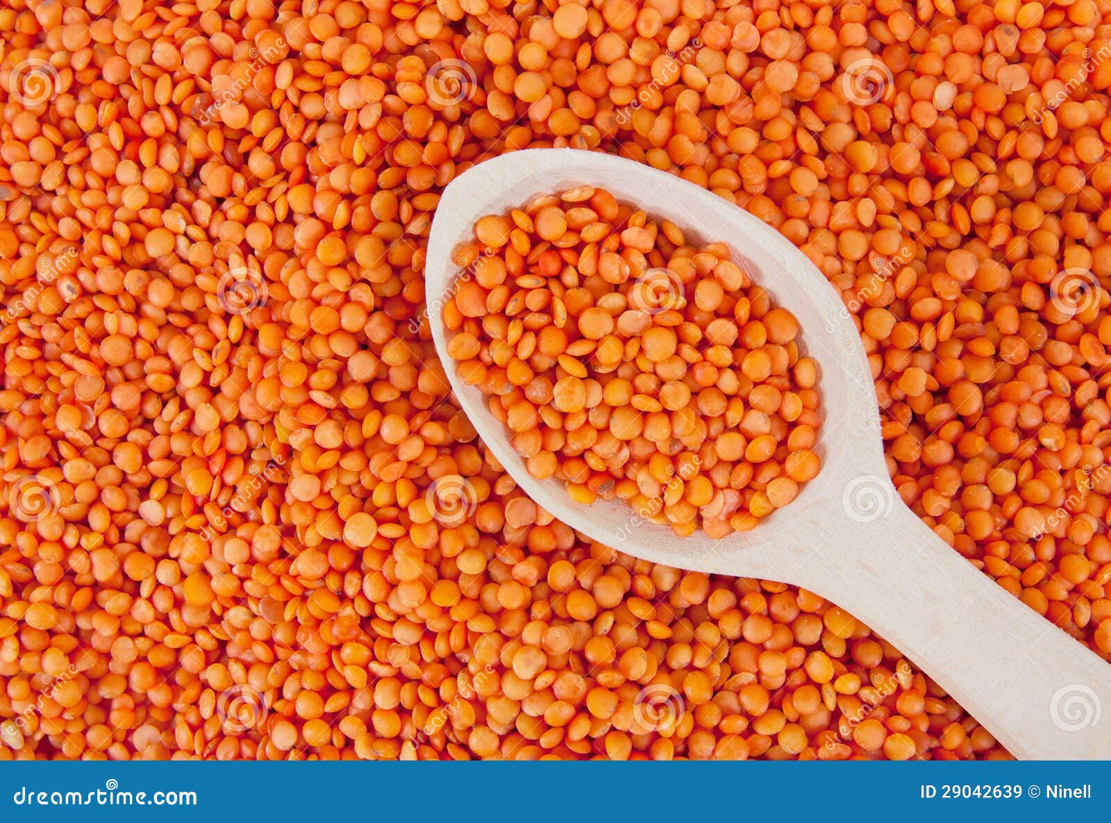 Lentil stock image. Image of brown, food, organic, grain - 29042639