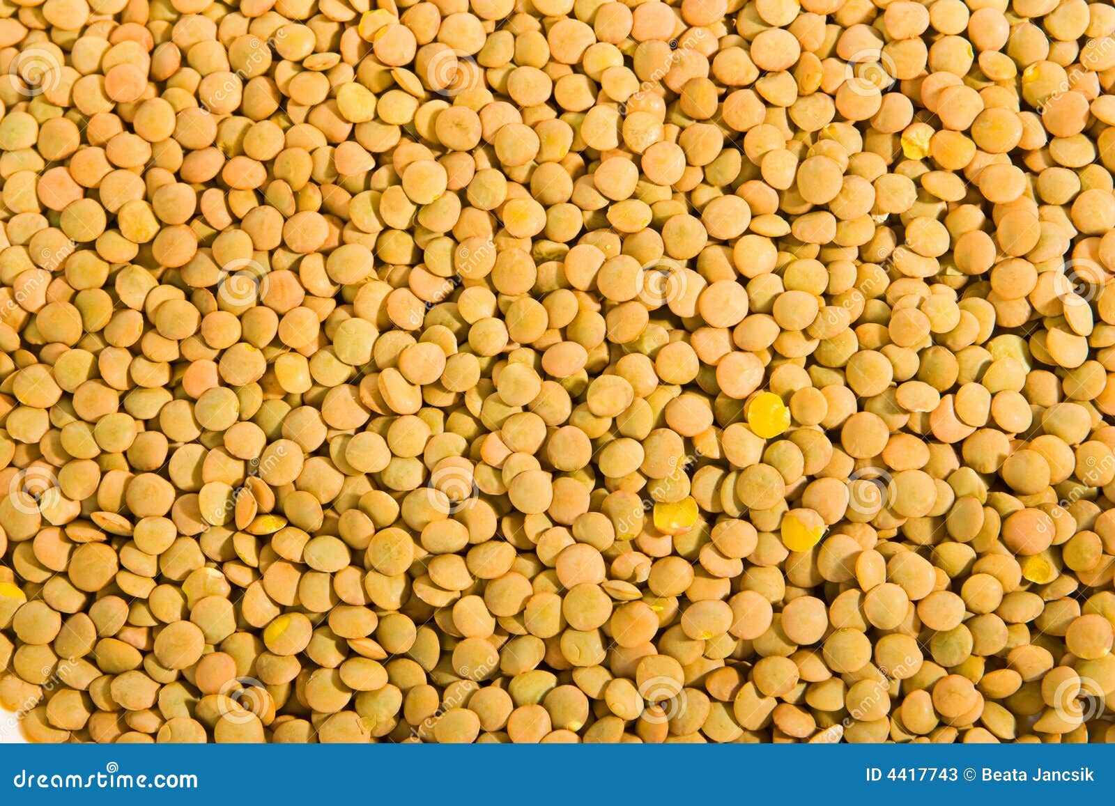 Lentil Picture. Image: 4417743