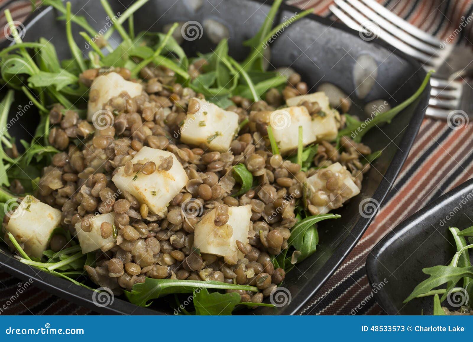 Lentil and Celeriac stock image. Image of bowl, vegetables - 48533573