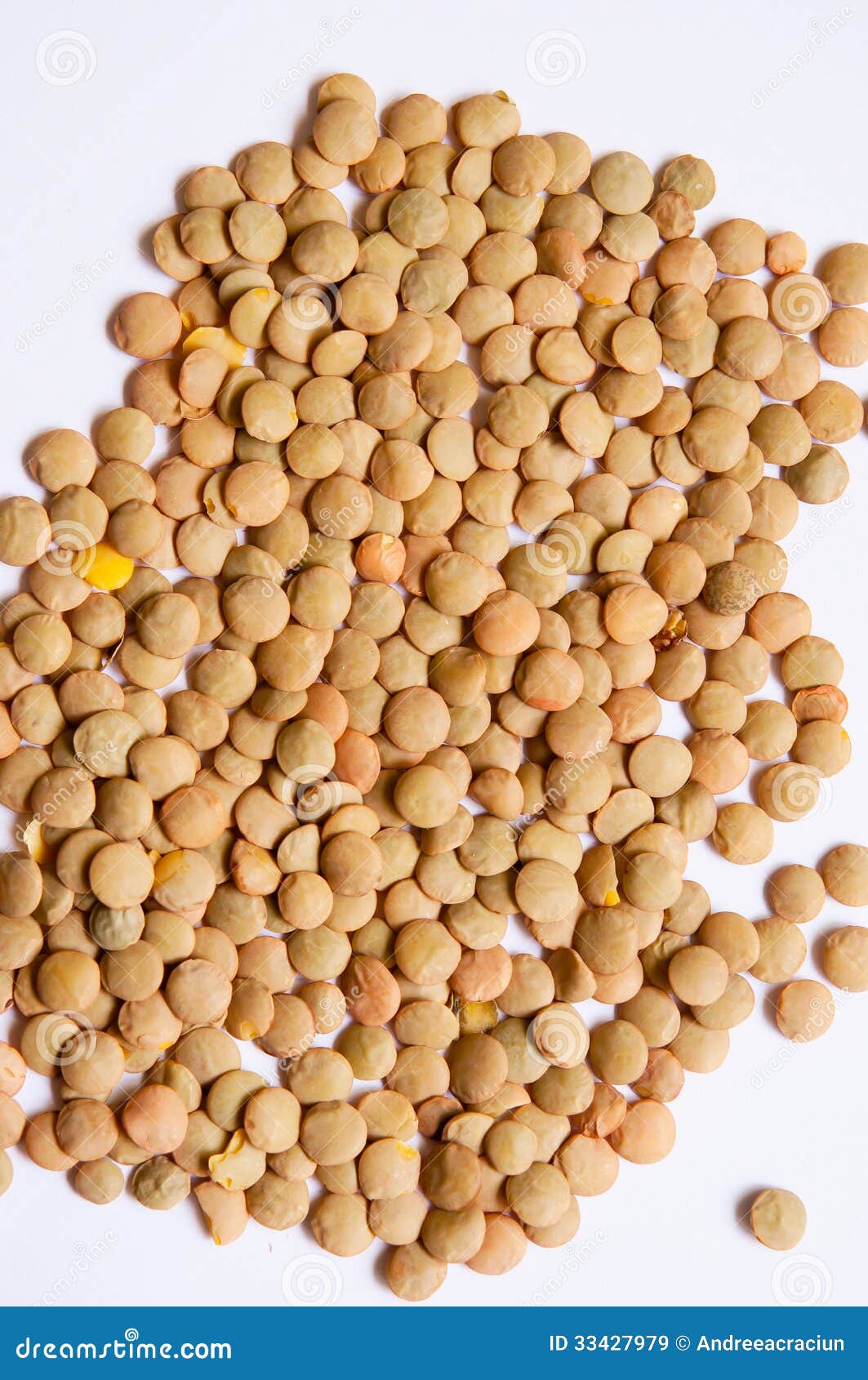 Lentil close up stock image. Image of agriculture, macro - 33427979