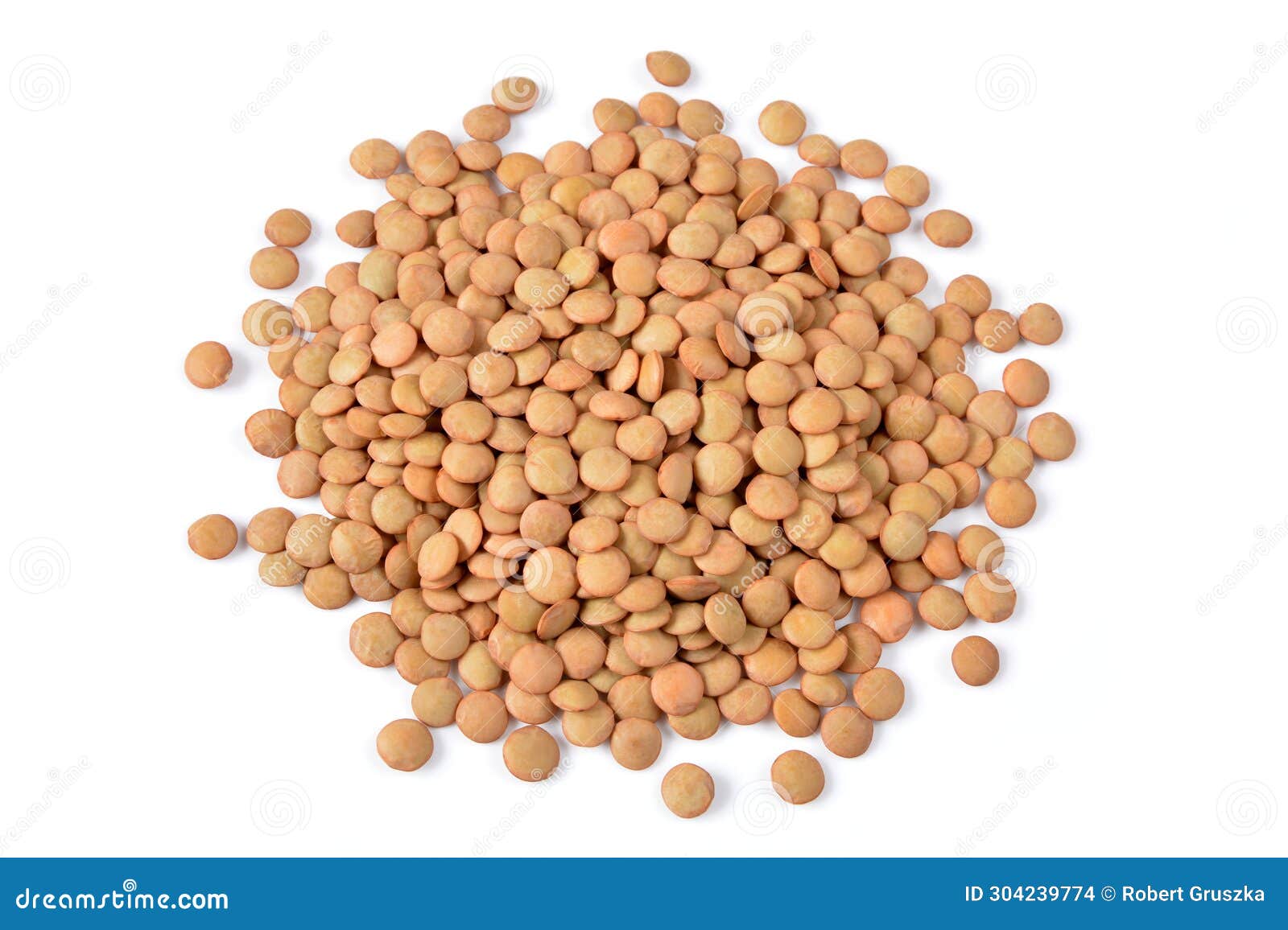 Lentil grains stock photo. Image of isolated, lentil - 304239774