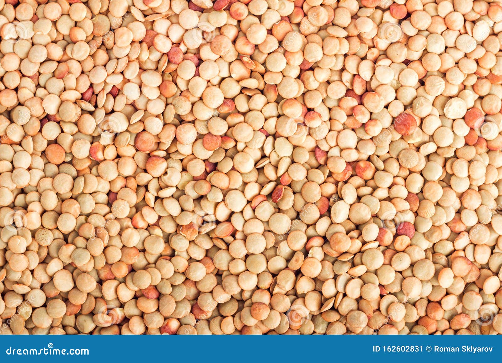 Lentil Grains Scattered As a Background Stock Image - Image of grain ...