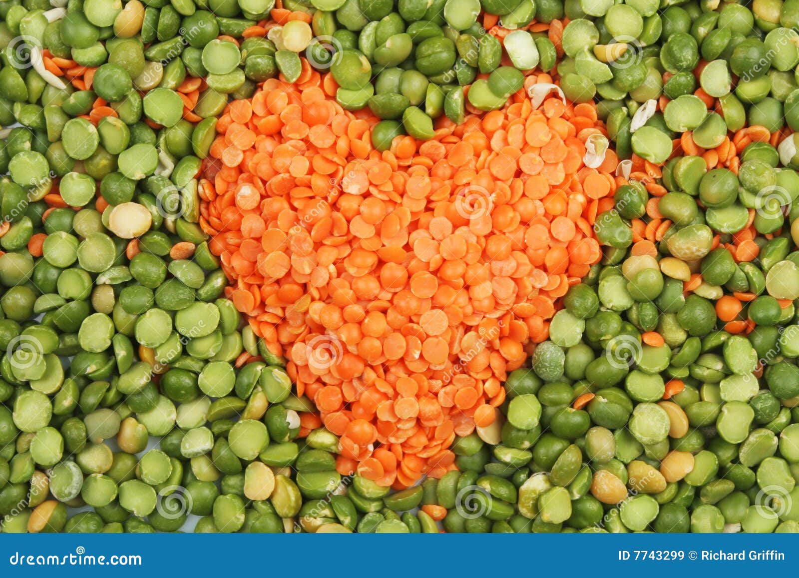 Lentil heart in peas stock image. Image of vegetable, food - 7743299