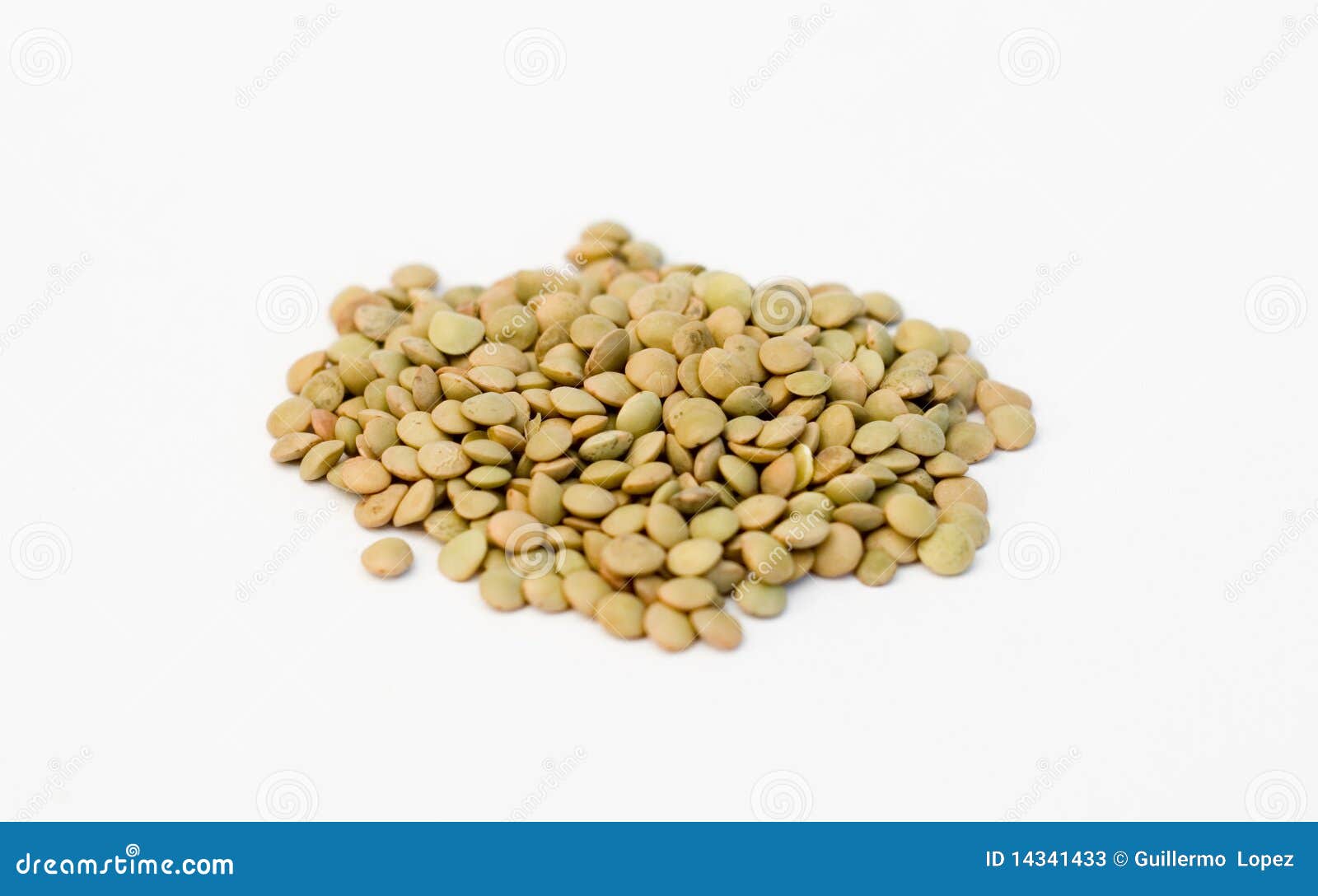 Lentil lens culinaris stock image. Image of legume, massor - 14341433