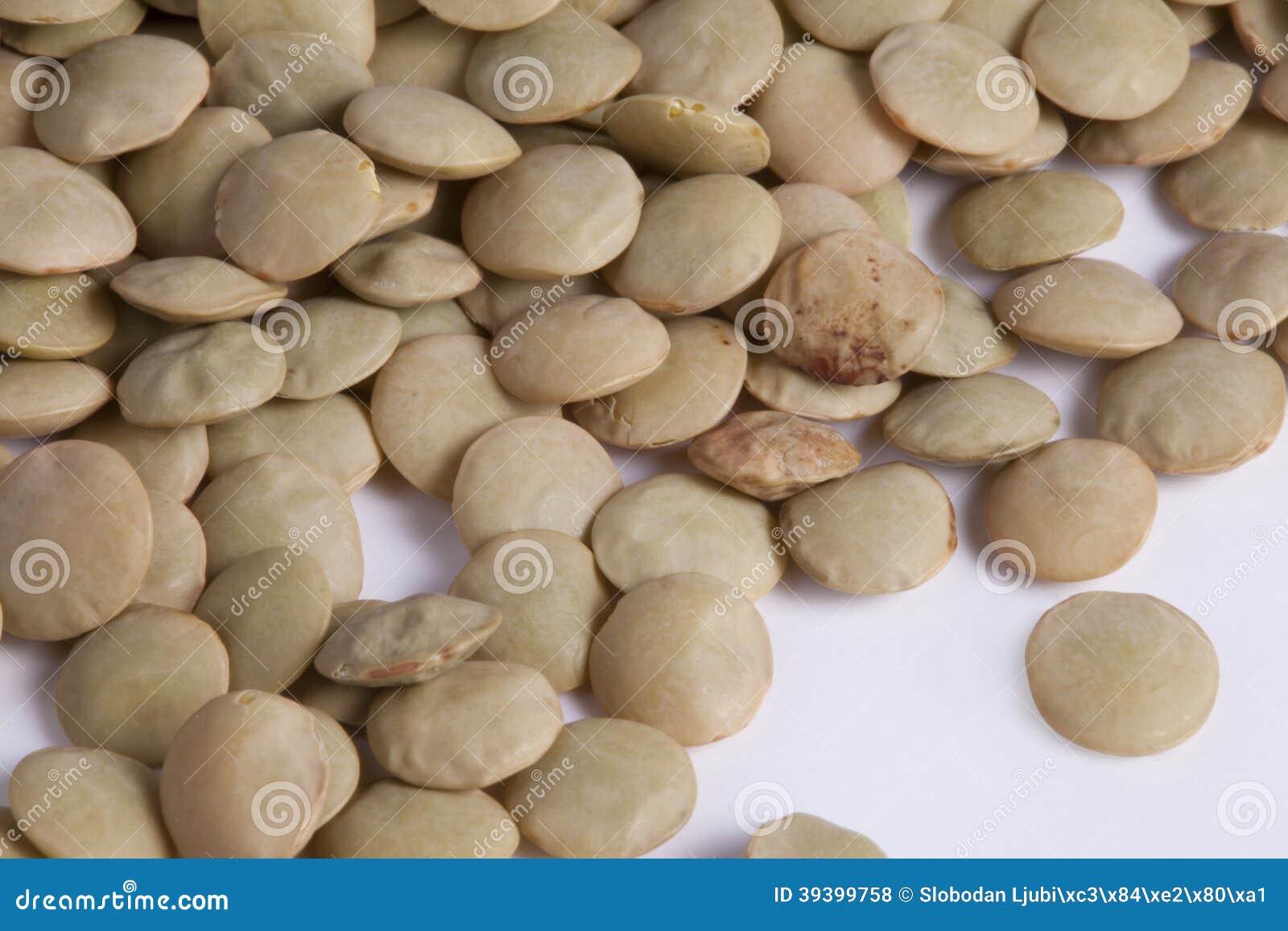 Lentil (Lens culinaris) stock photo. Image of food, organic - 39399758