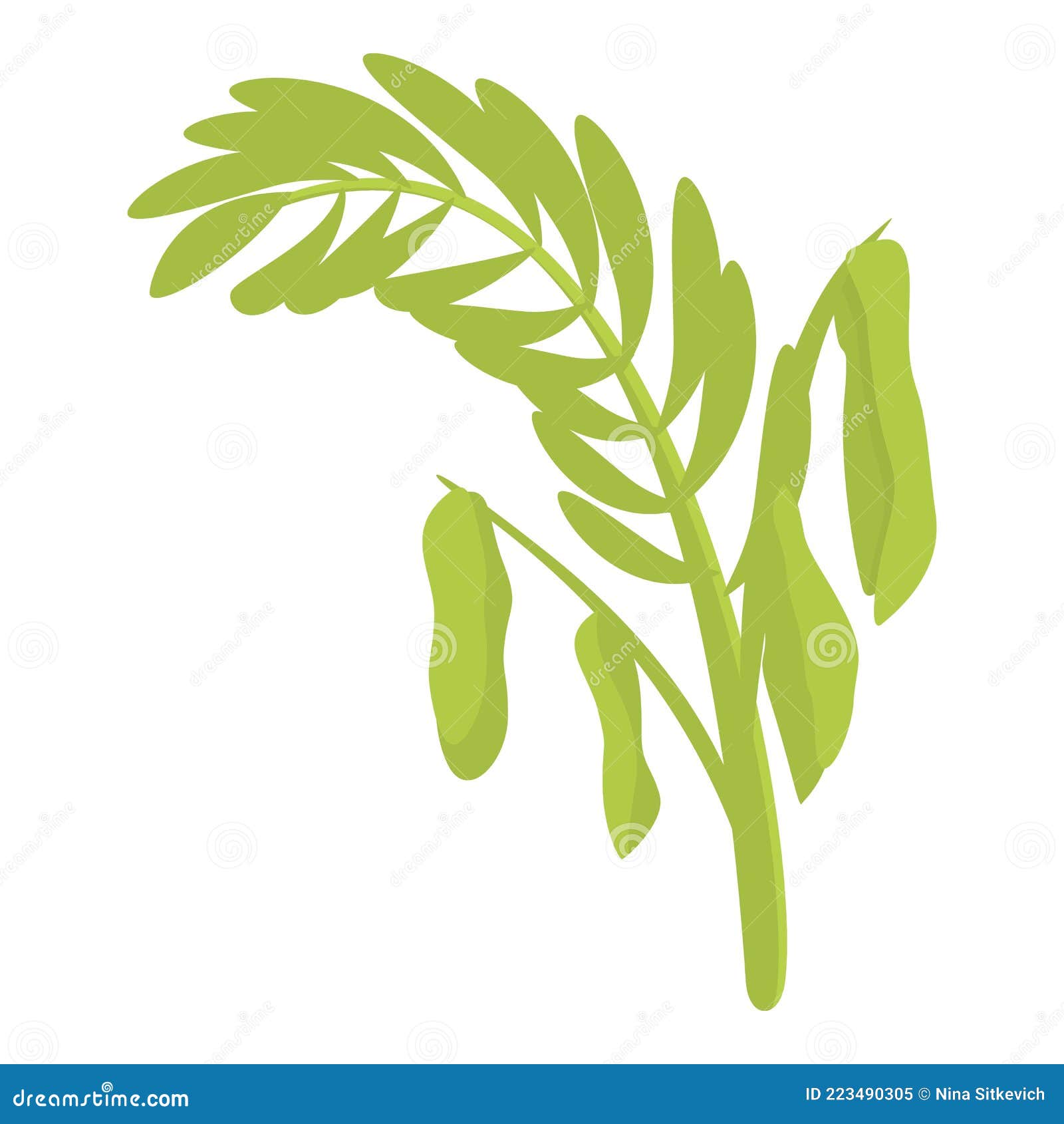 Lentil Plant Icon Cartoon Vector. Bean Lentil Plant Stock Vector ...