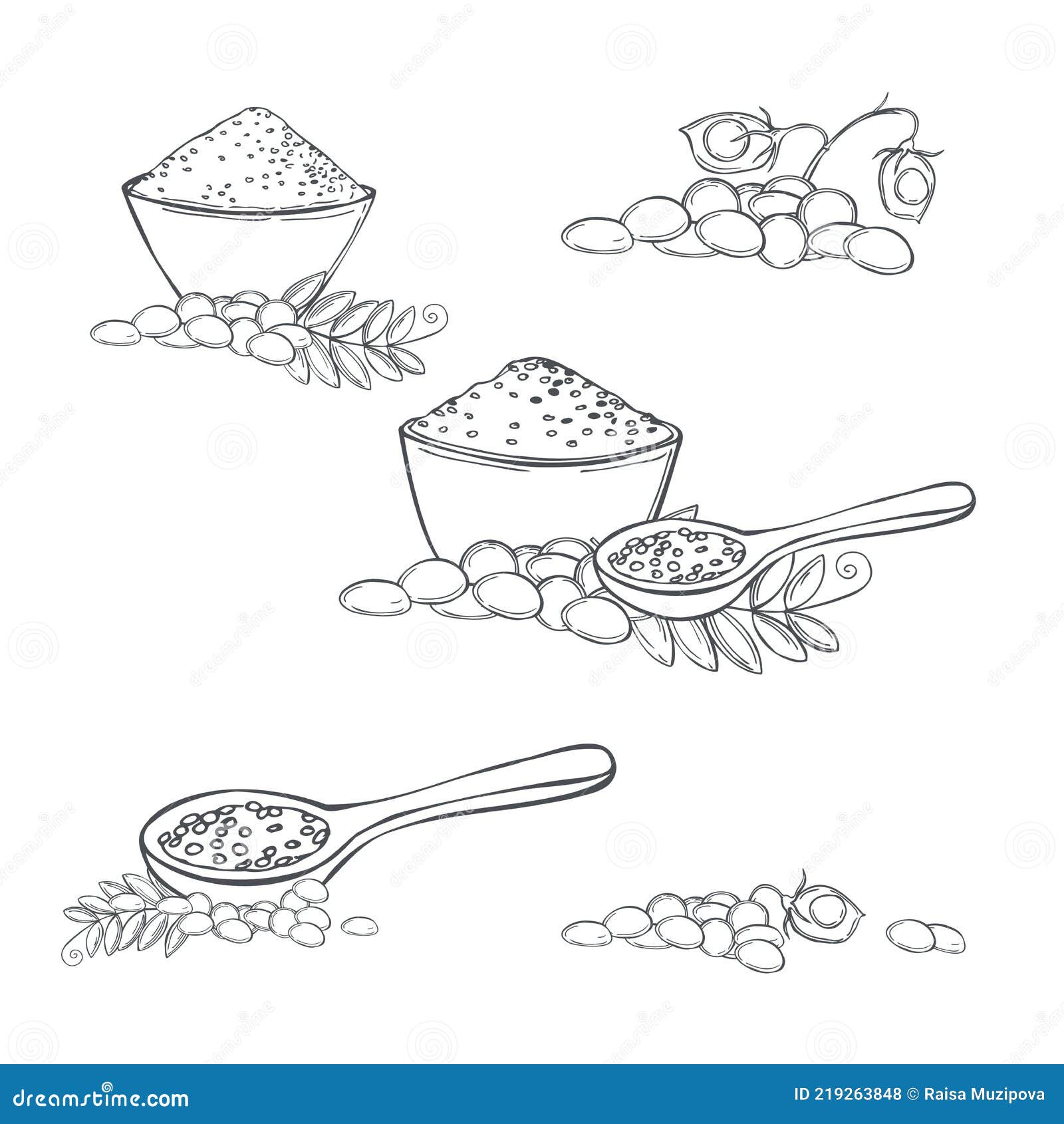 Lentil Plant. Vector Illustration Stock Vector - Illustration of bowl ...