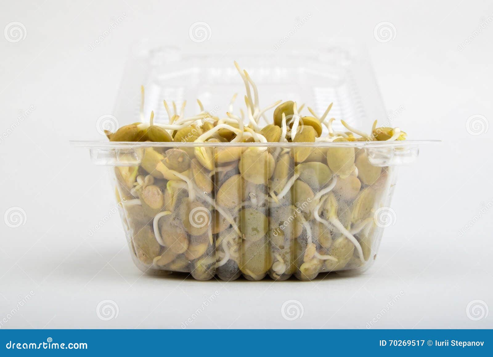 Lentil in a plastic box stock image. Image of grain, legume - 70269517