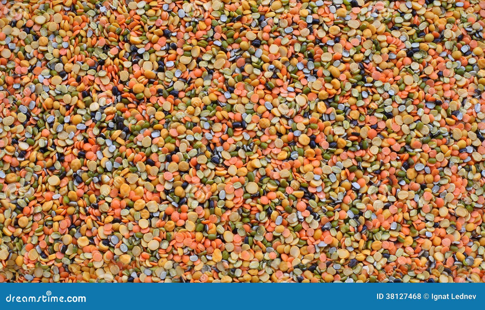 Lentil seamless texture stock photo. Image of particle - 38127468