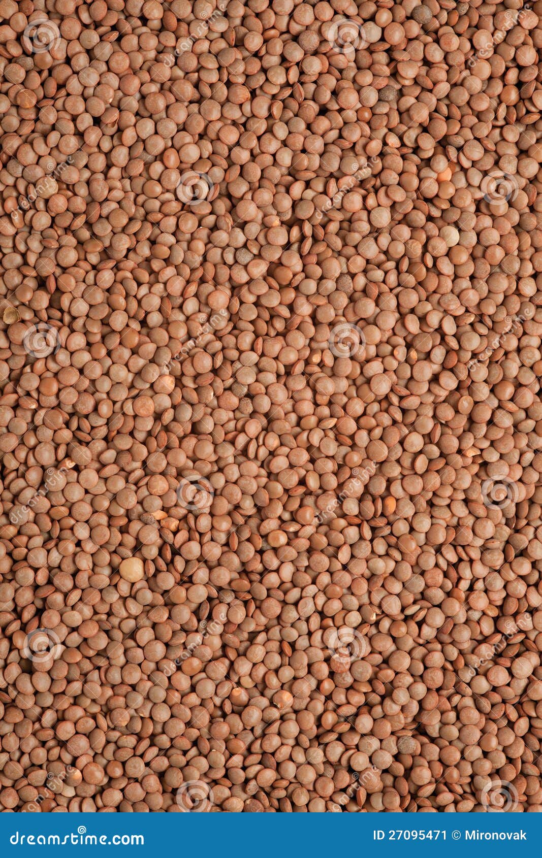 Lentil Seed Texture Background Stock Image - Image of cuisine, vegan ...