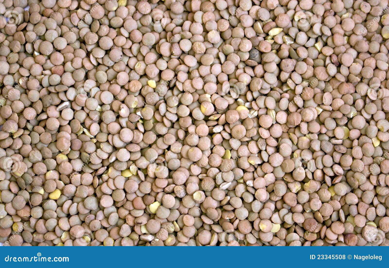 Lentil seeds stock photo. Image of brown, organic, ingredients - 23345508